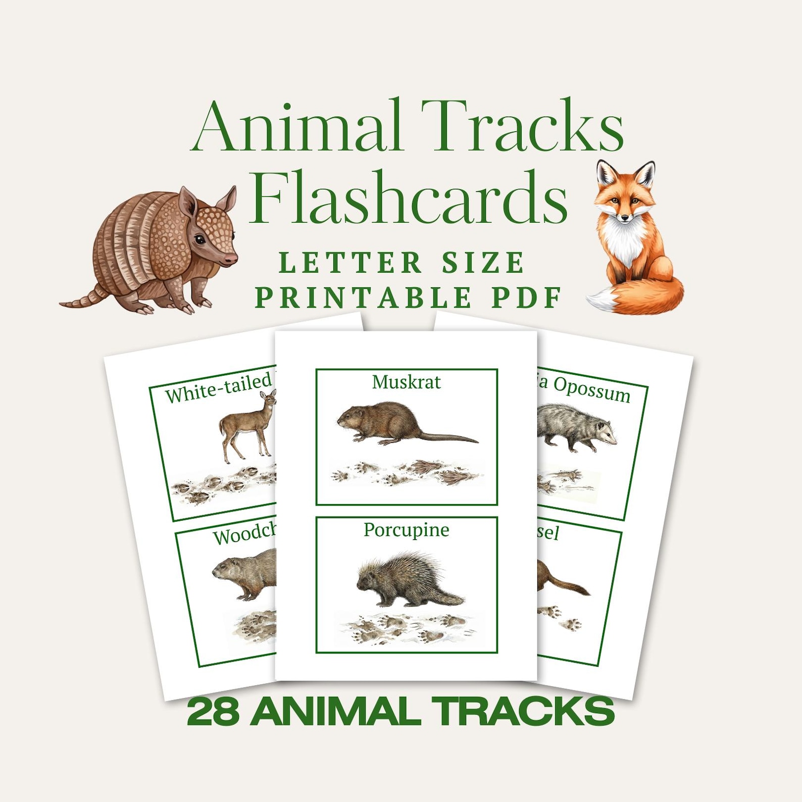 Animal Tracks Flashcards, North American Mammal Identification, Nature ...
