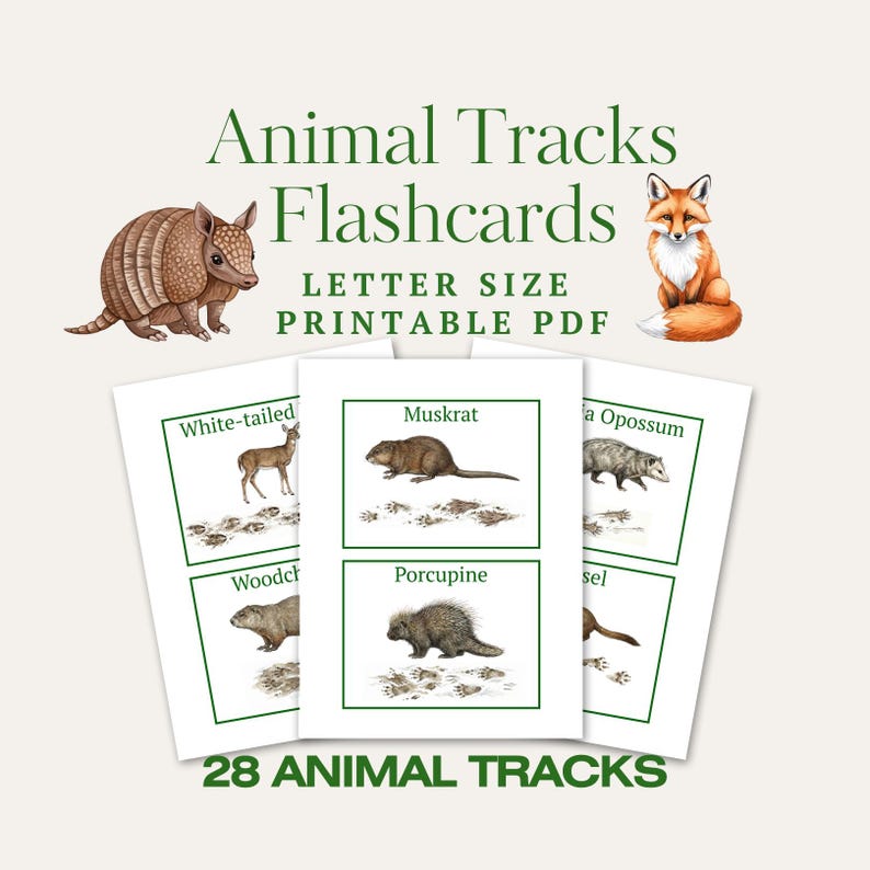 Animal Tracks Flashcards, North American Mammal Identification, Nature ...