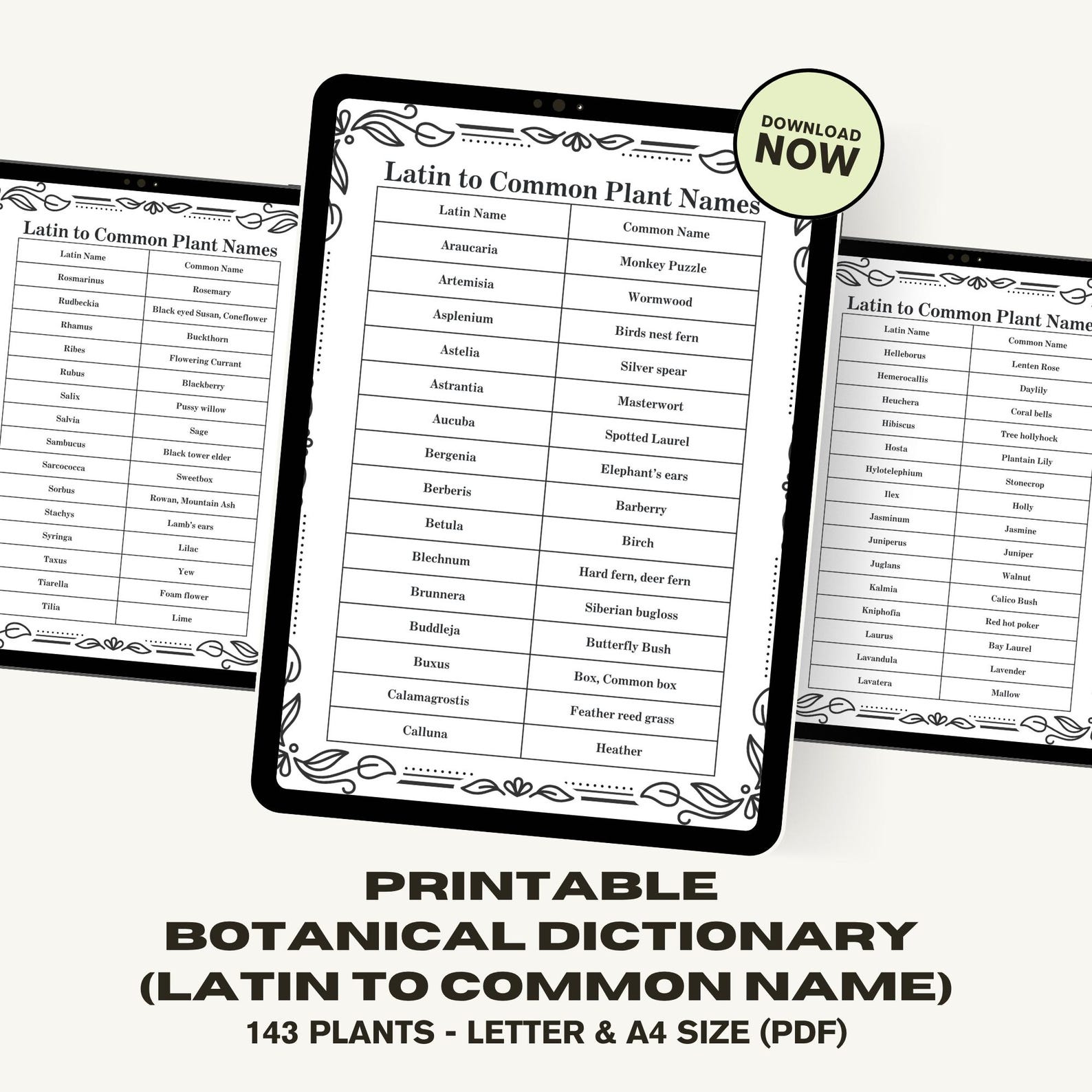 Botanical Dictionary: Latin Plant Names, English Plant Name Index ...