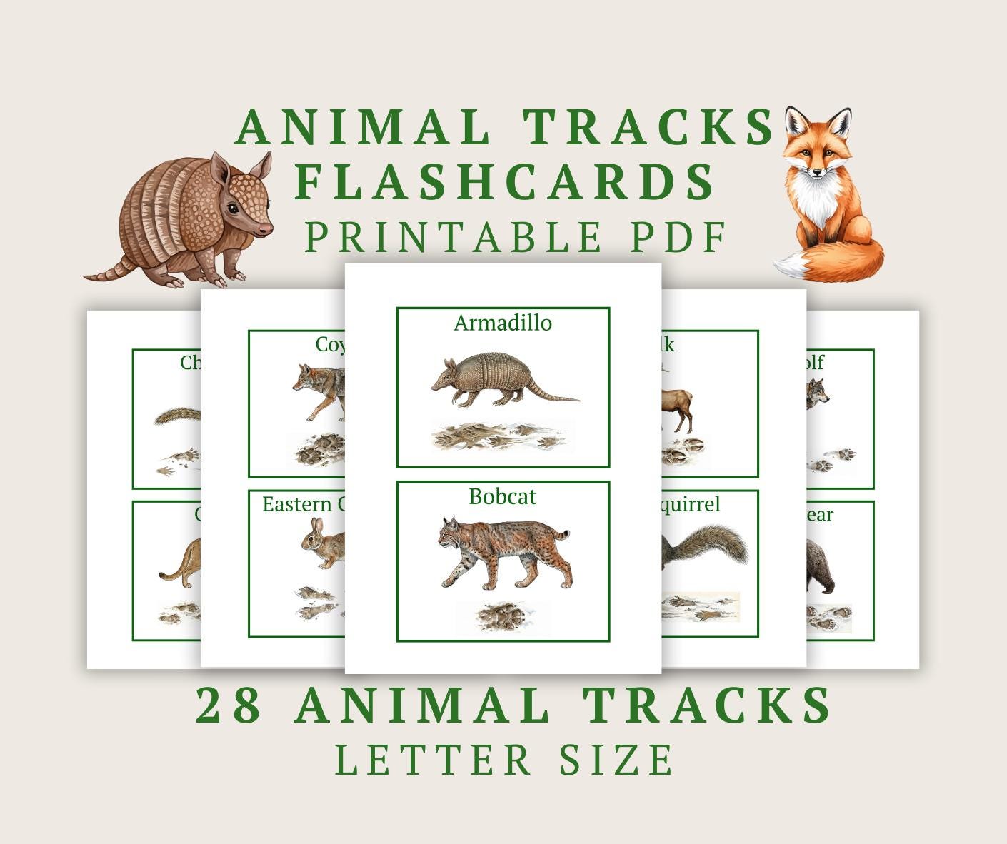 Animal Tracks Flashcards, North American Mammal Identification, Nature ...