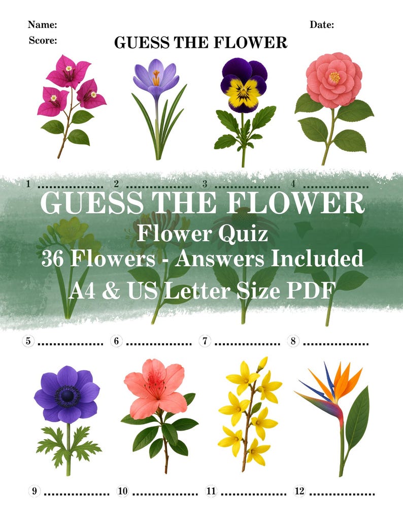 Garden Games: Guessing Game, Guess the Flower, Picture Quiz (printable ...