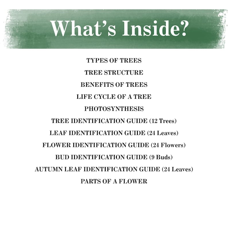 Tree Unit Study: Nature Study, Environmental Science, Homeschool ...