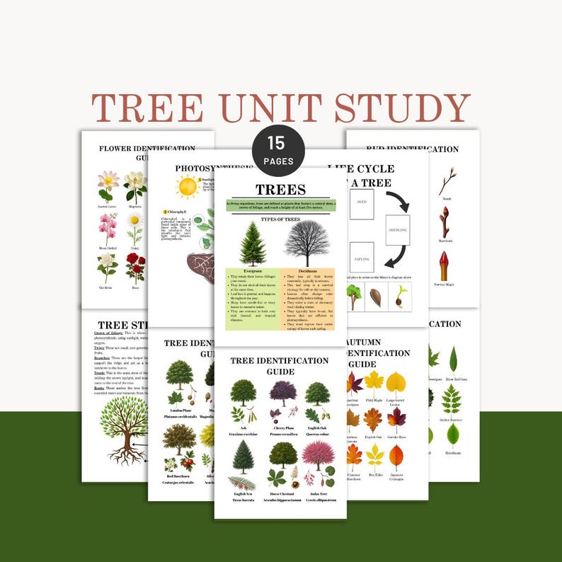 Tree Unit Study: Nature Study, Environmental Science, Homeschool ...