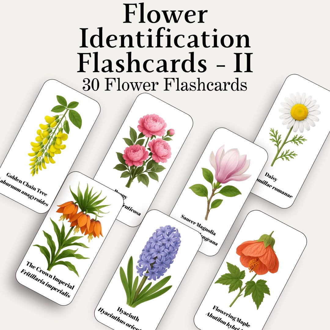 Flower Identification Flashcards: 30 Flower Montessori Cards, Nature ...