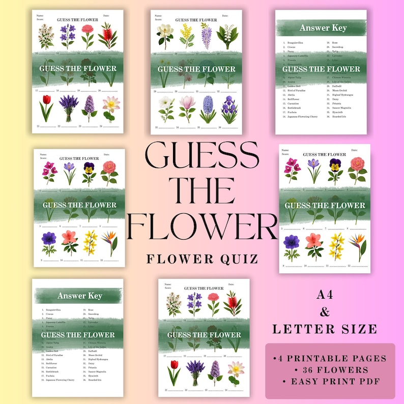 Garden Games: Guessing Game, Guess the Flower, Picture Quiz (printable ...
