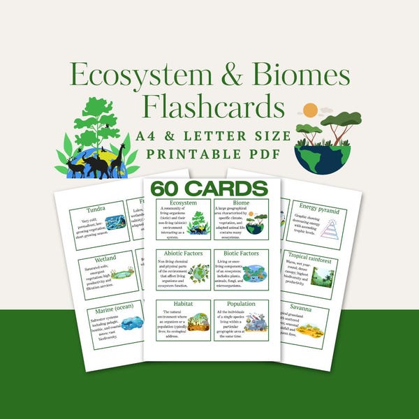 Ecosystem - Etsy