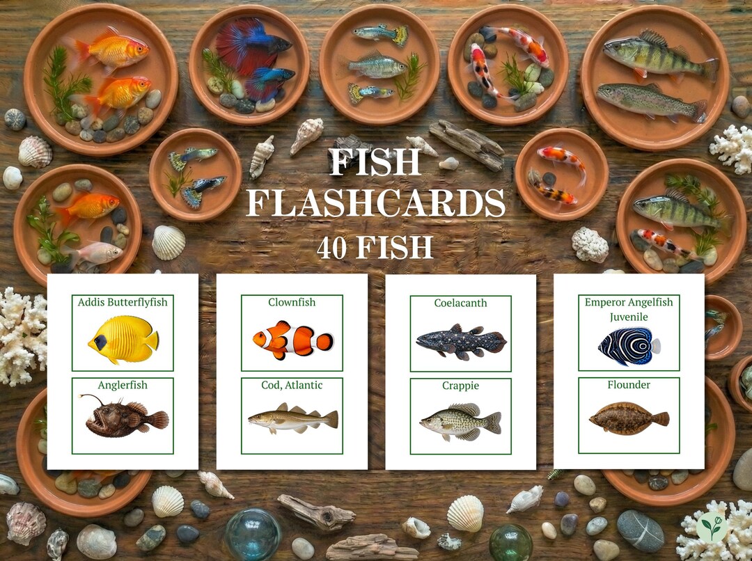 Fish Identification Flashcards, Printable Ocean Animals, Montessori ...