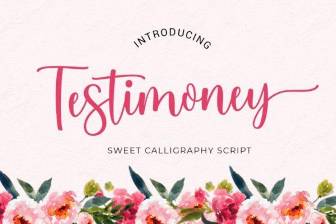 Testimoney Font | Elegant Handwritten Script | Modern Calligraphy Font ...