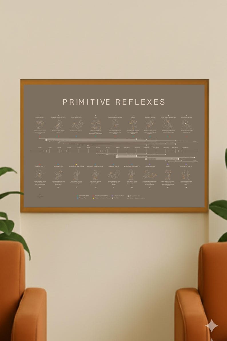 Pediatric Wall Art – Archaic Reflexes Poster – Primitive Reflexes ...