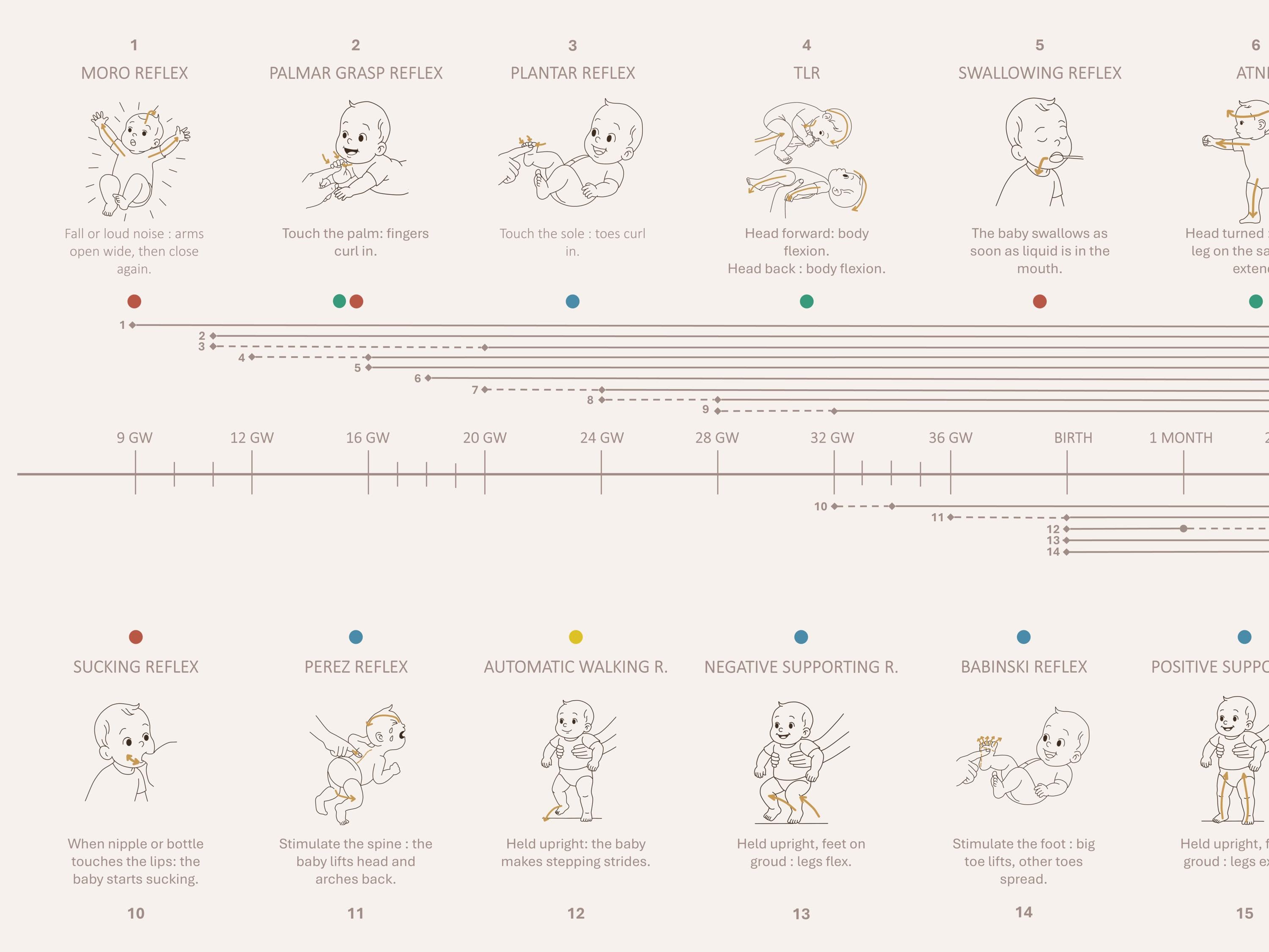 Pediatric Wall Art – Archaic Reflexes Poster – Primitive Reflexes ...
