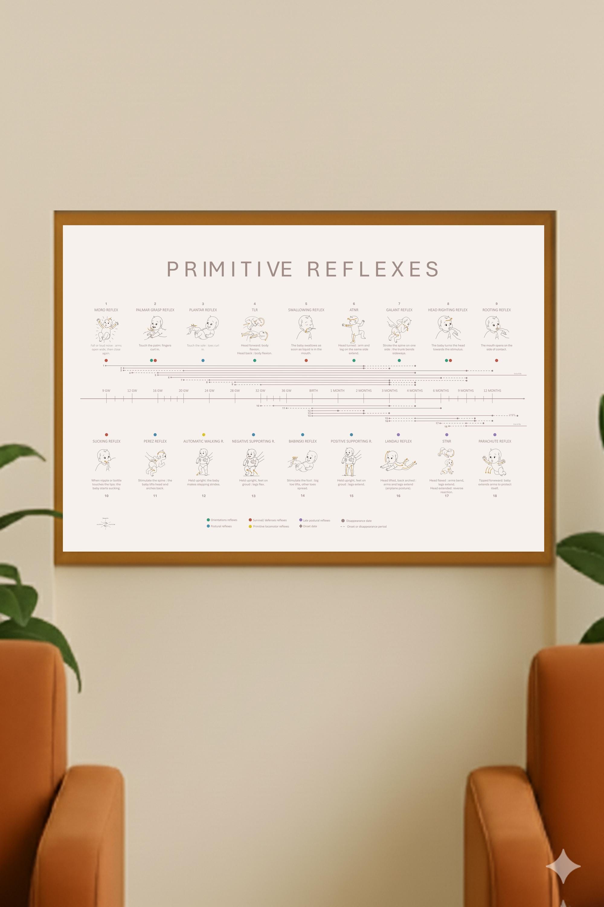 Pediatric Wall Art – Archaic Reflexes Poster – Primitive Reflexes ...