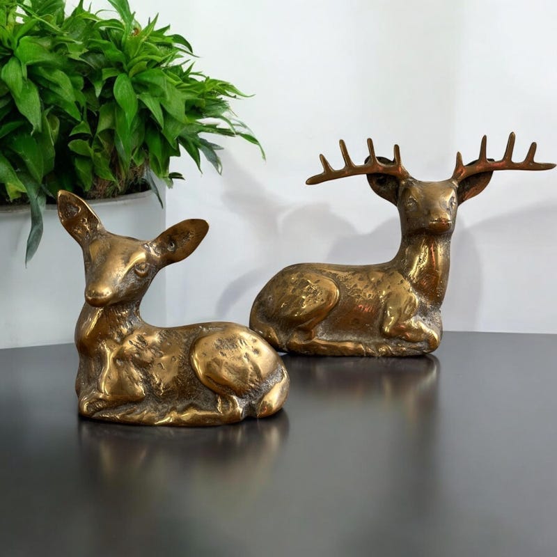 Deer Buck and Doe - Etsy