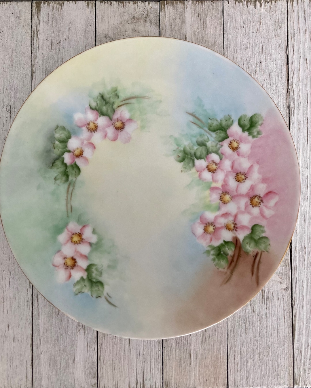 Rare P.T. Bavaria Hand Painted Plate - Tirschenreuth - Pink Flowers ...