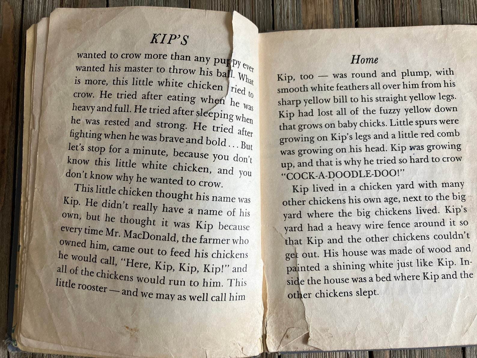 Vintage Children’s Book “kip: A Young Rooster” by Irma Simonton Black ...