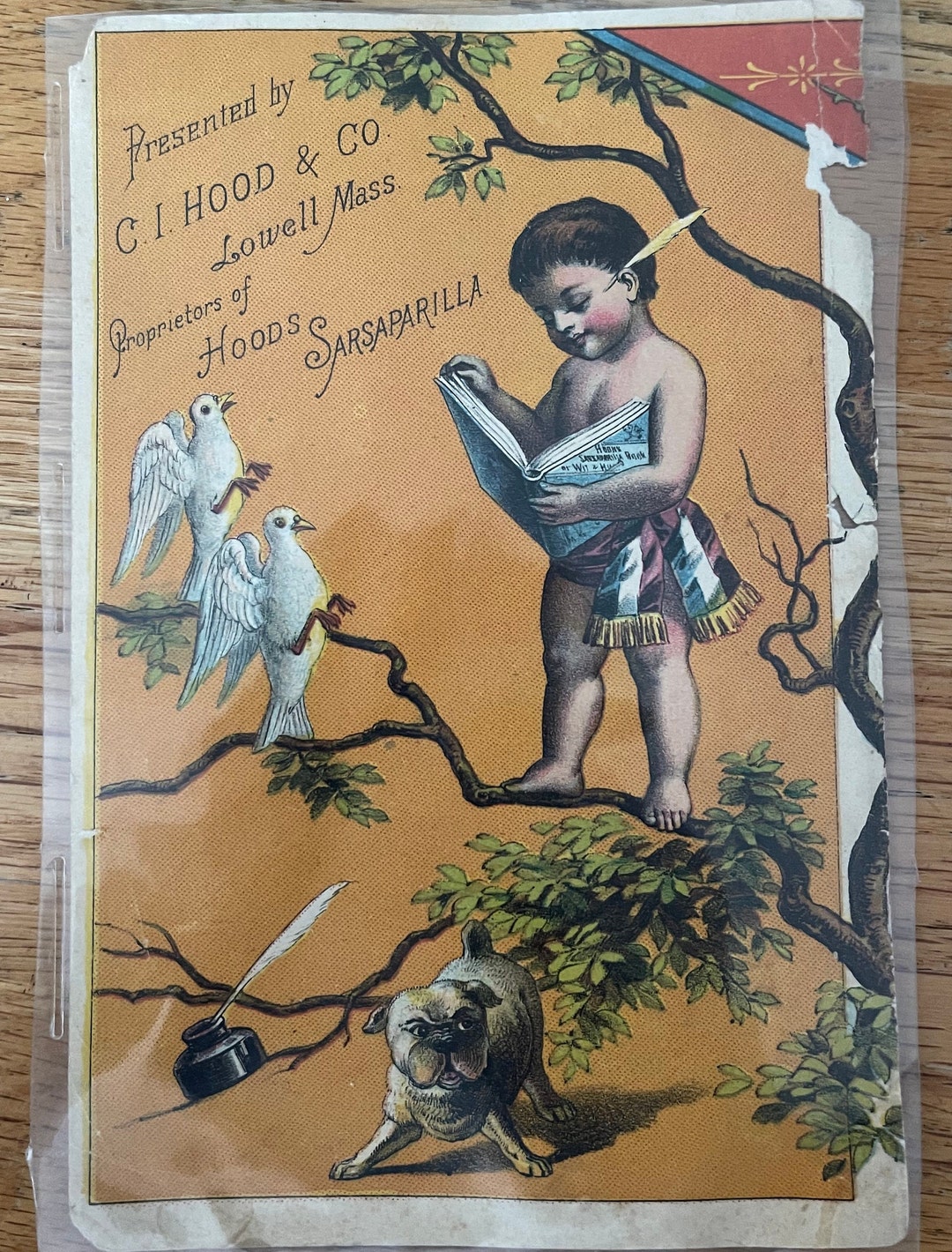 Vintage Multi-year Calendar (1882-1884) From Hoods Sasparilla - Etsy