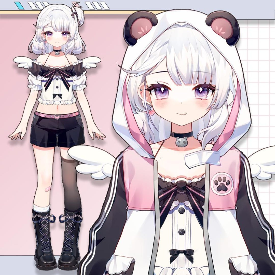 Premade Live2d Vtuber Model: Ready to Use, Vtubestudio Compatible - Etsy