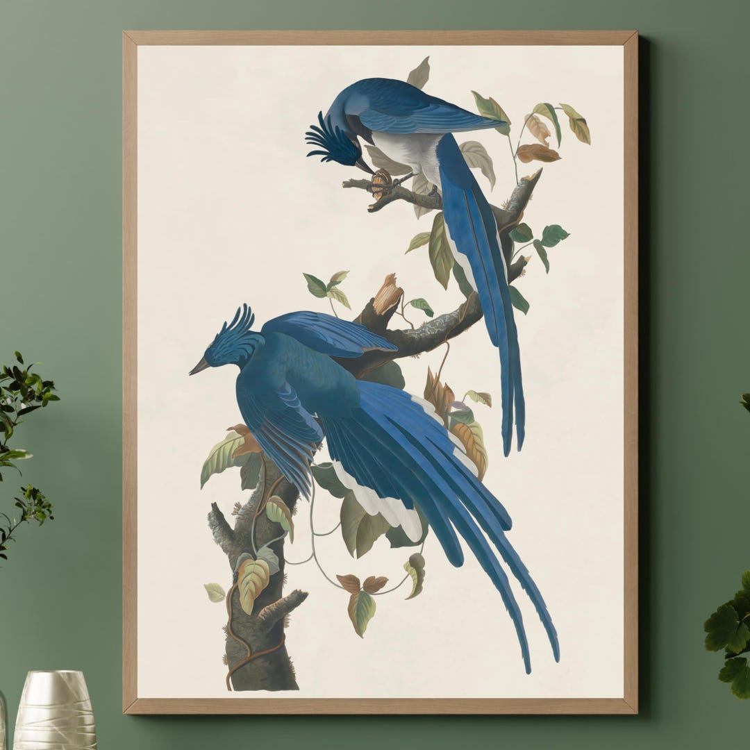 Vintage Blue Bird Print - Magpie Victorian Maximalist Poster, Antique ...