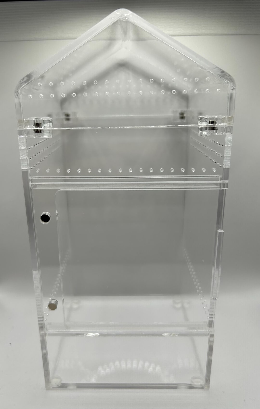 Arboreal Canopy Enclosure: Spider & Invertebrate Habitat (4x4x8") - Etsy