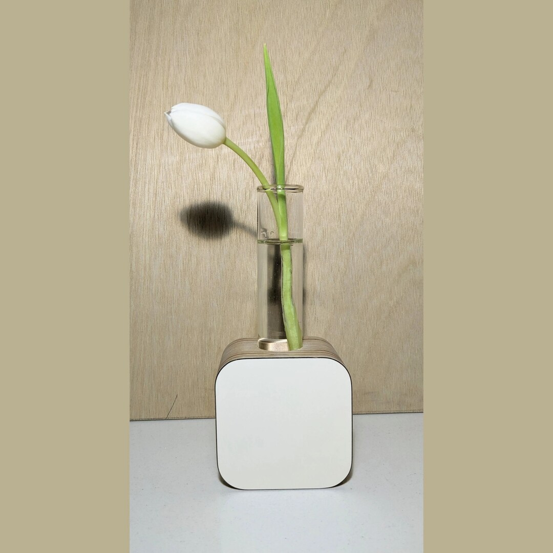 Cuttings Vase Streamline Original - Etsy