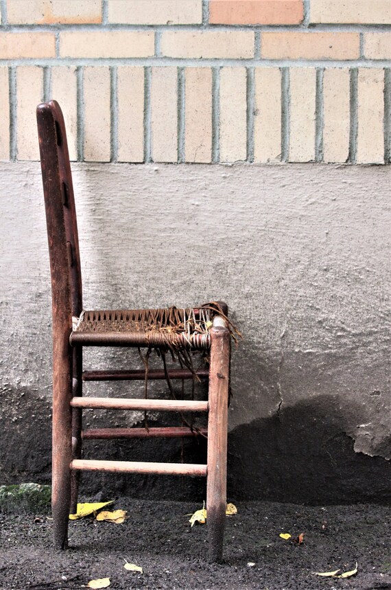 The Cat's Chair | Etsy