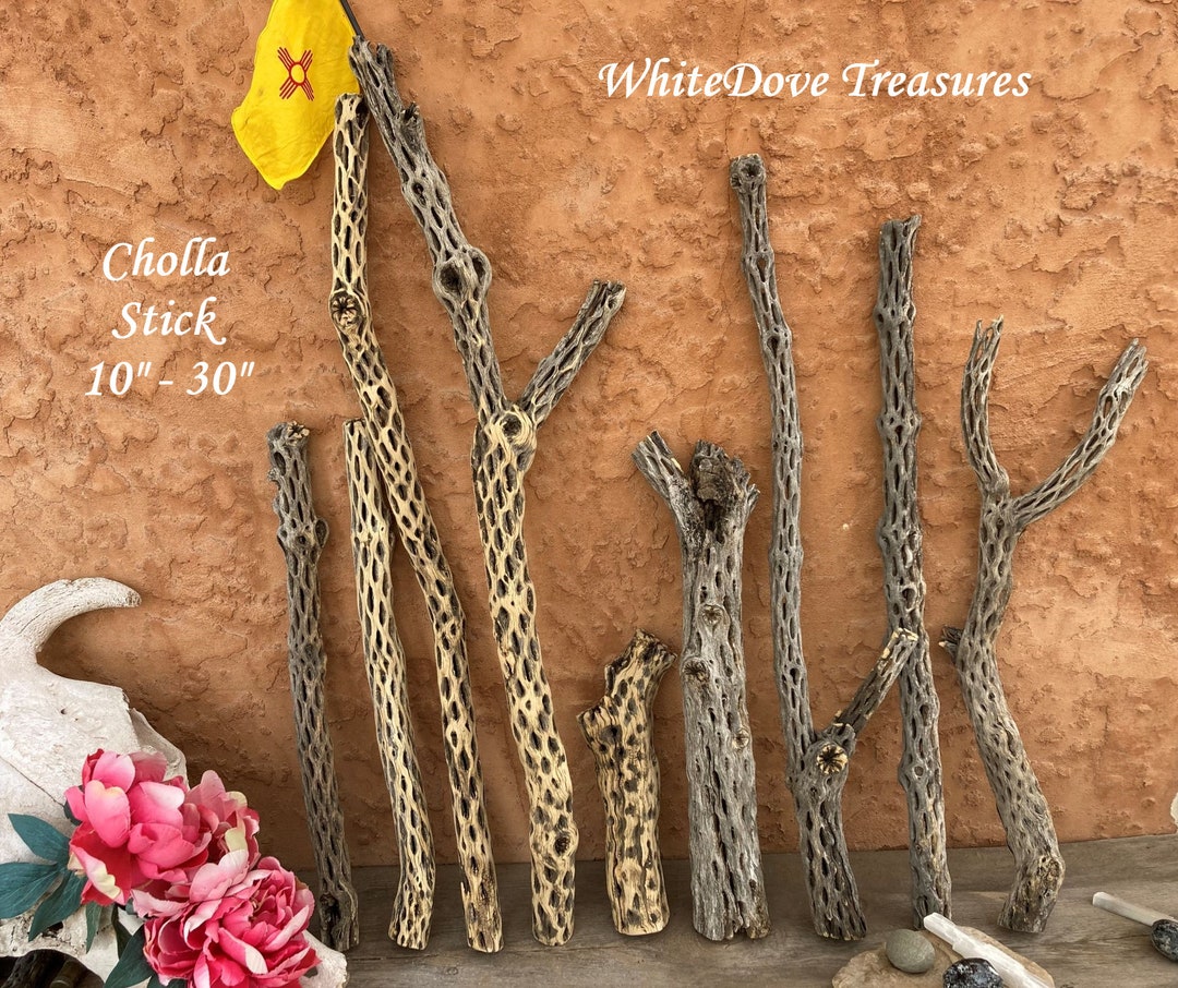 Cholla Wood Sticks, 3010 Thick, Wall Art Hanging Display Pole, Talking ...