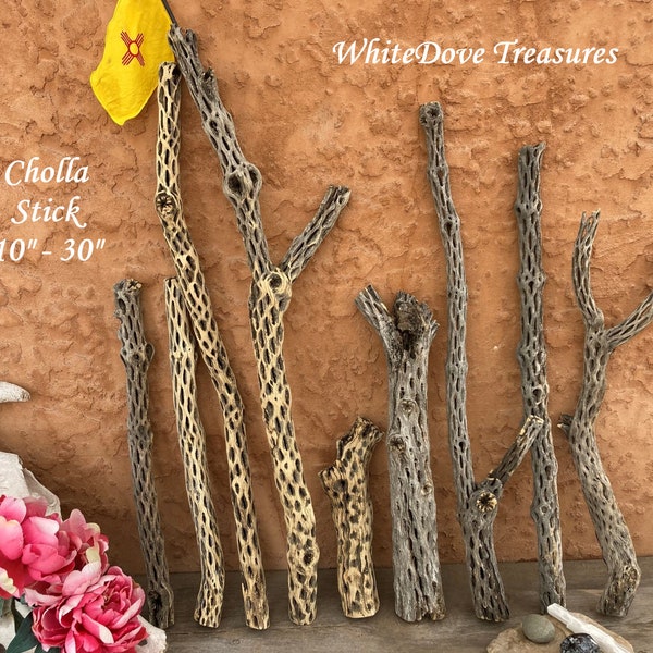 Cholla Wood - Etsy