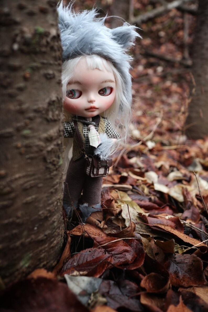 SOLD OUT)OOAK Blythe Custom Doll – Wolf Concept, Handcrafted Eyes ...