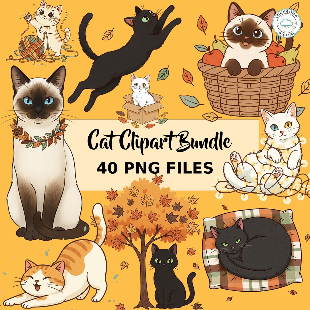Fall Cat Clipart Bundle, Kawaii Autumn Kitten, Thanksgiving PNG ...