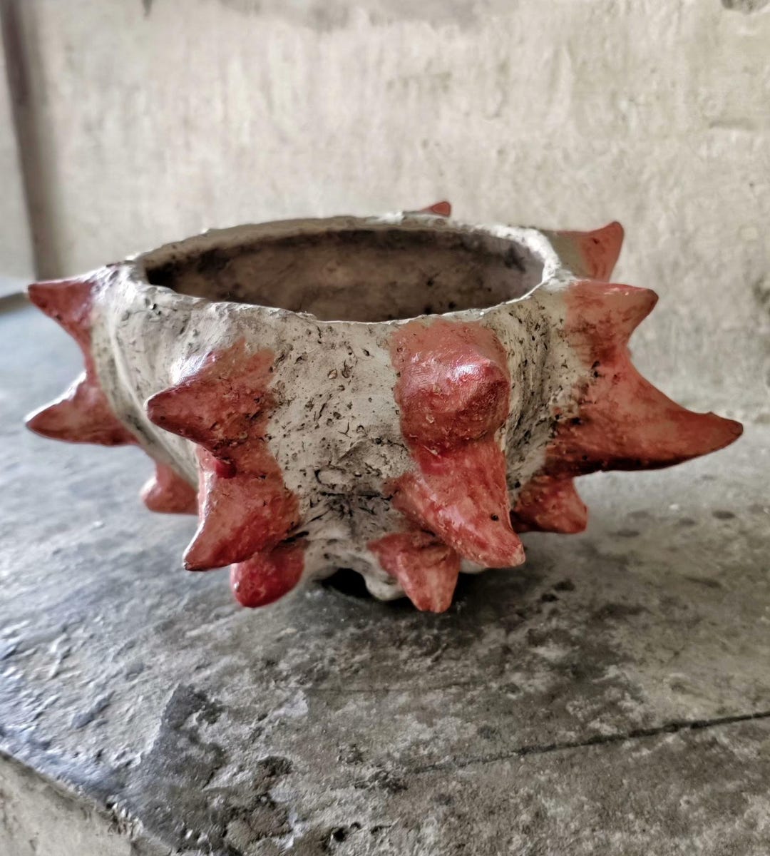 Japanese Handmade Spiky Ceramic Caudex Planter Textured Art Pot for ...