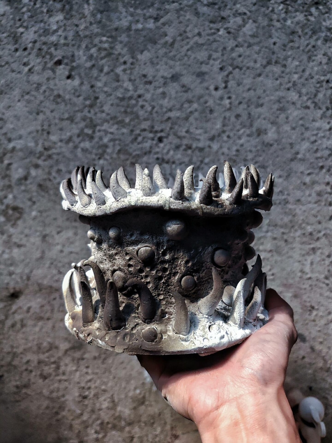 Handmade Spiked Ceramic Planter – Matte Black Root Pot, Wabi-sabi Decor ...