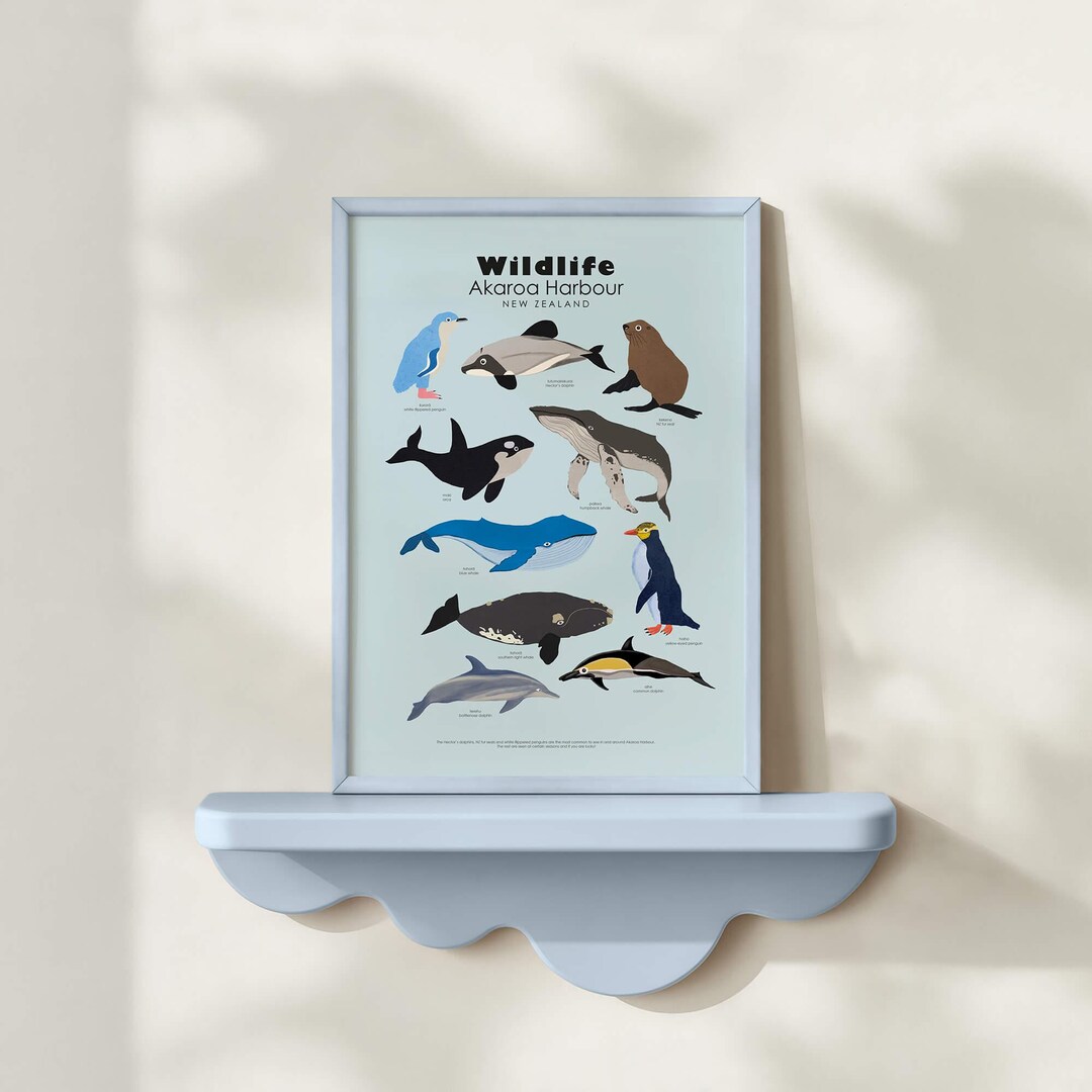 Akaroa NZ Wildlife Poster – Coastal Nursery Sea Animals Print - Etsy