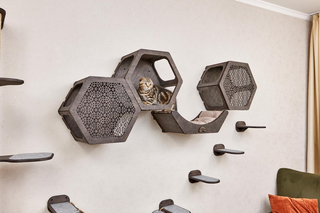Modern Cat Shelves for Wall: Cat Hexagon Shelves With Decorative Panels ...
