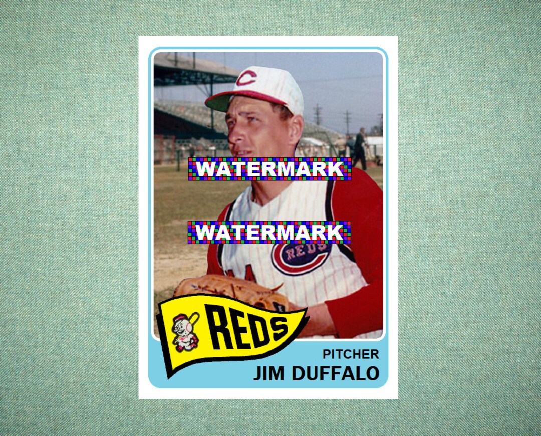 Jim Duffalo Cincinnati Reds Custom Baseball Card 1965 Style - Etsy France