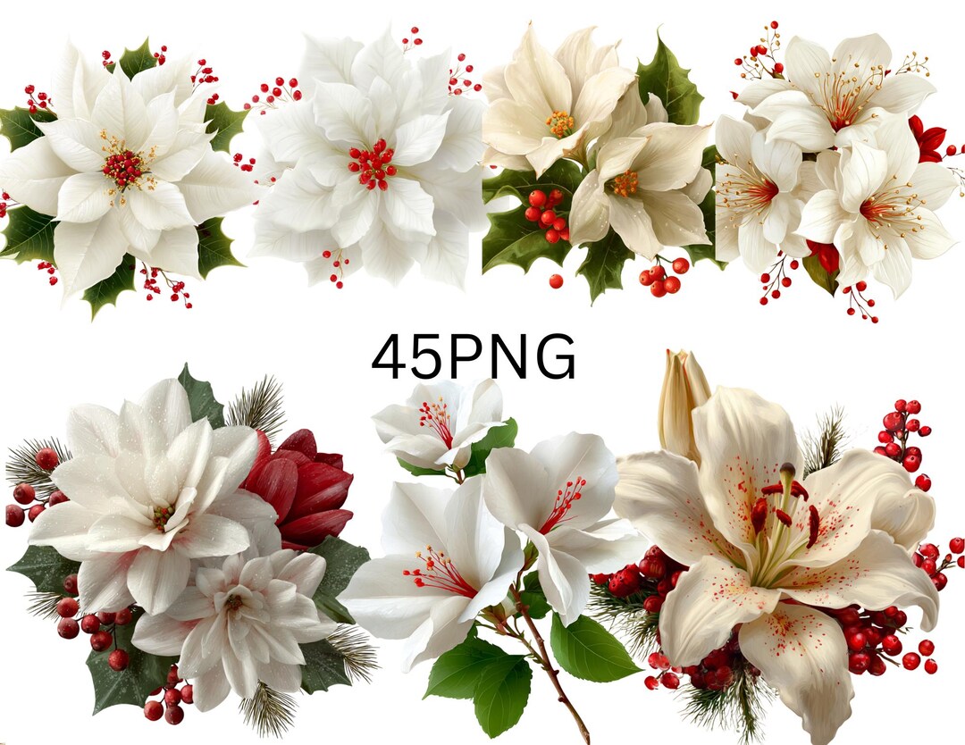 Poinsettia Flower Clipart PNG | Christmas Red Bloom Art | Transparent ...
