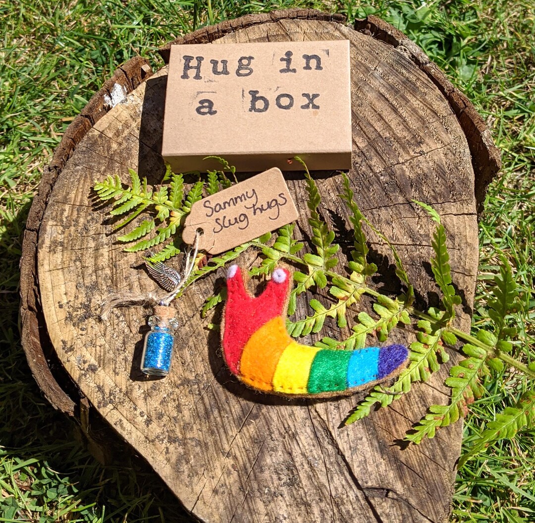 Hug in a Box, Slug, Felt Slug, Slug Hug, Rainbow Gift, Send a Hug ...