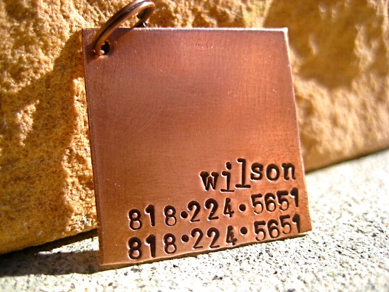The Wilson Unique Pet ID Tag 2 Numbers Copper Square Dogs - Etsy