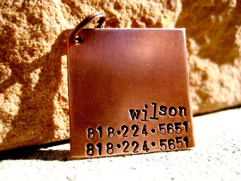The Wilson Unique Pet ID Tag 2 Numbers Copper Square Dogs - Etsy