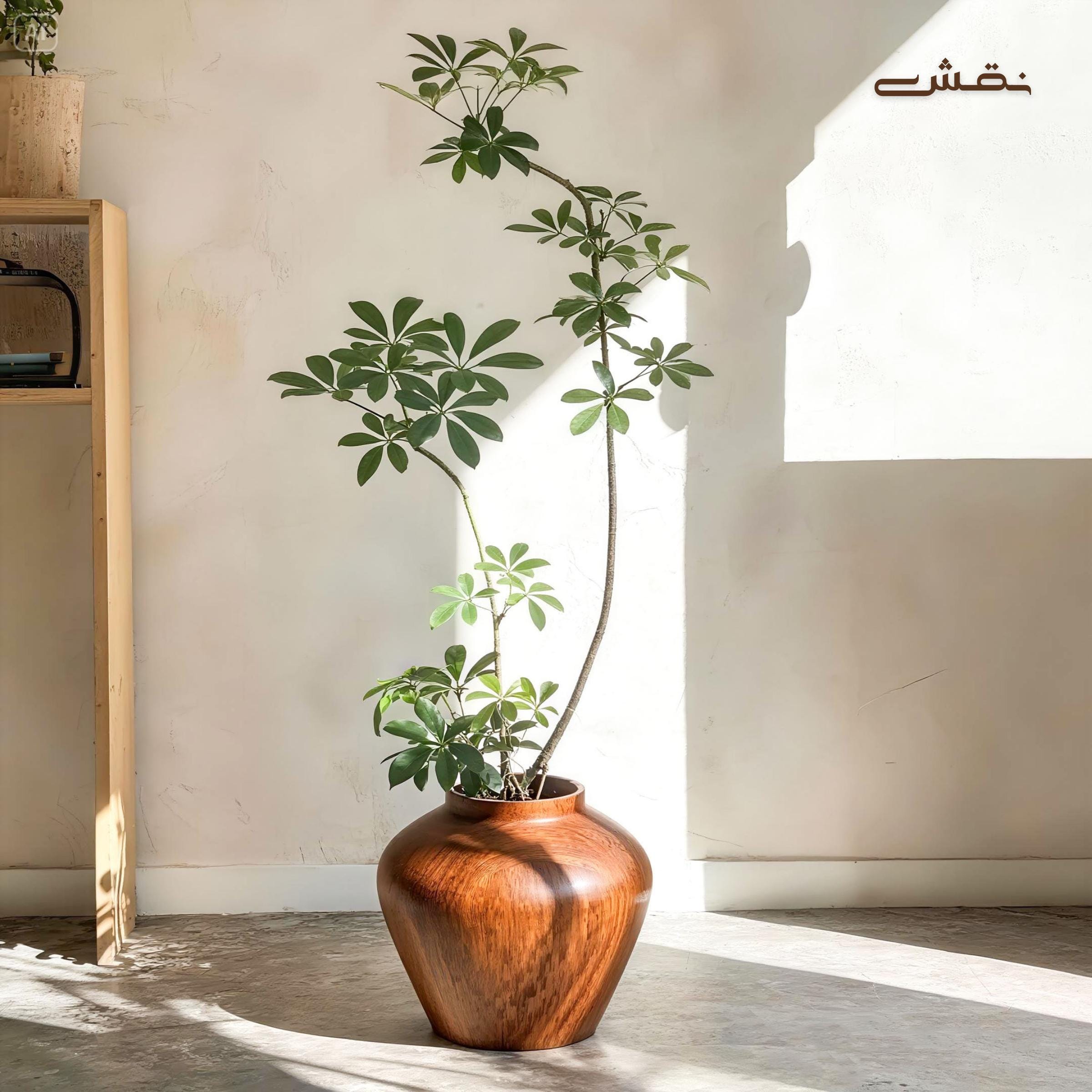 Walnut Wood Vase Large Wooden Vase for Dried Flowers, Rustic Modern ...
