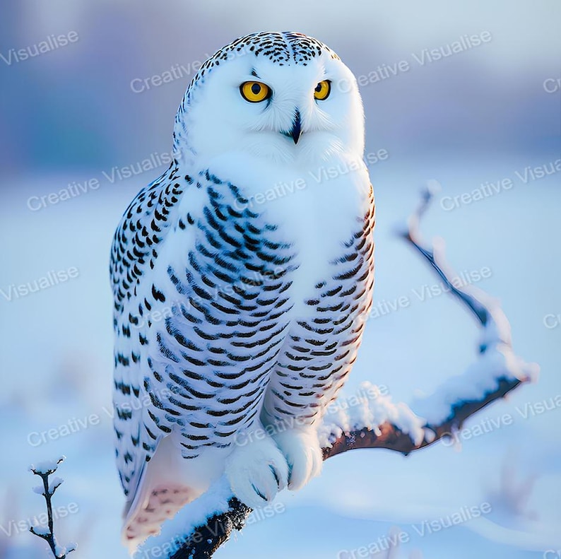 Snowy Owl on Branch, High-resolution Digital Print, PNG: 4700x7000 Pixels, 300 DPI, and Pdfs ...