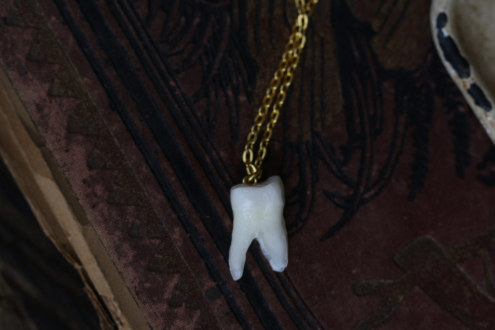 Snaggle Tooth Necklace - Etsy