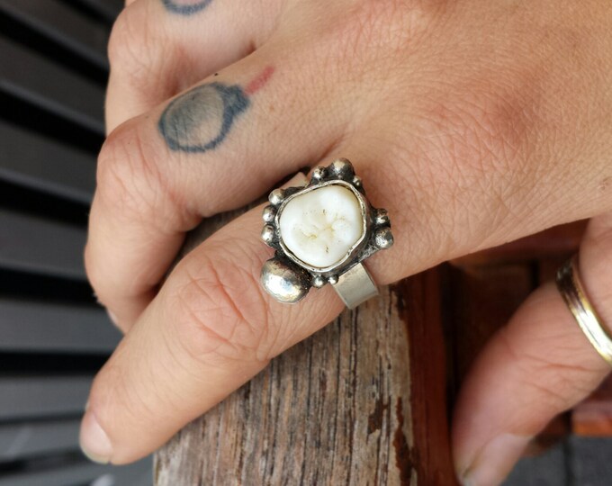 Human Tooth Bubble Ring - Etsy