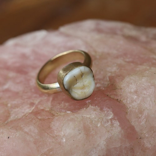Brass Snaggle Tooth Ring Made to Order - Etsy