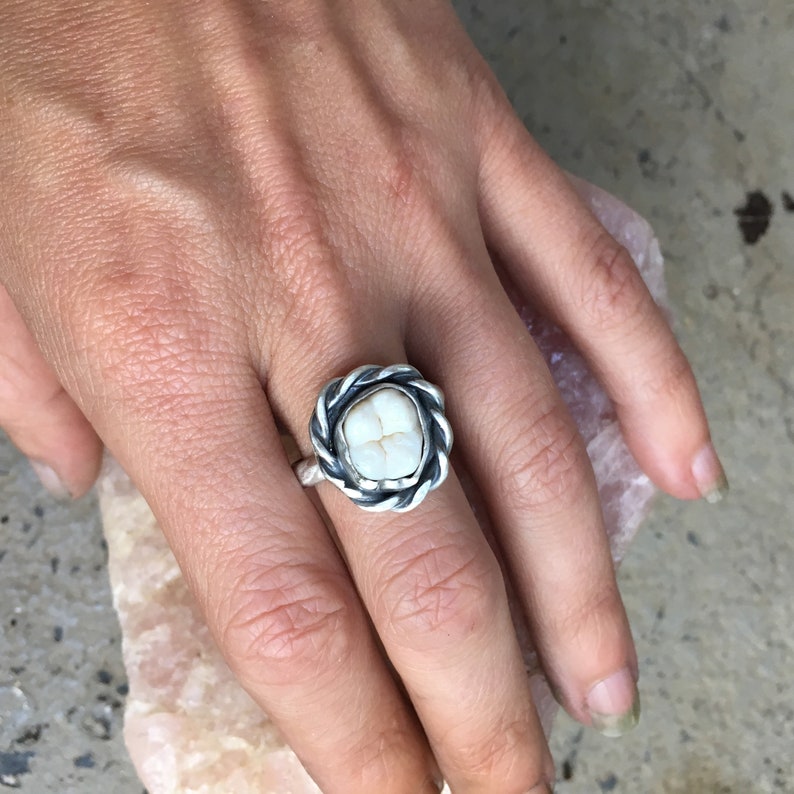 Sterling Single Tooth Ring Made in Your Size - Etsy