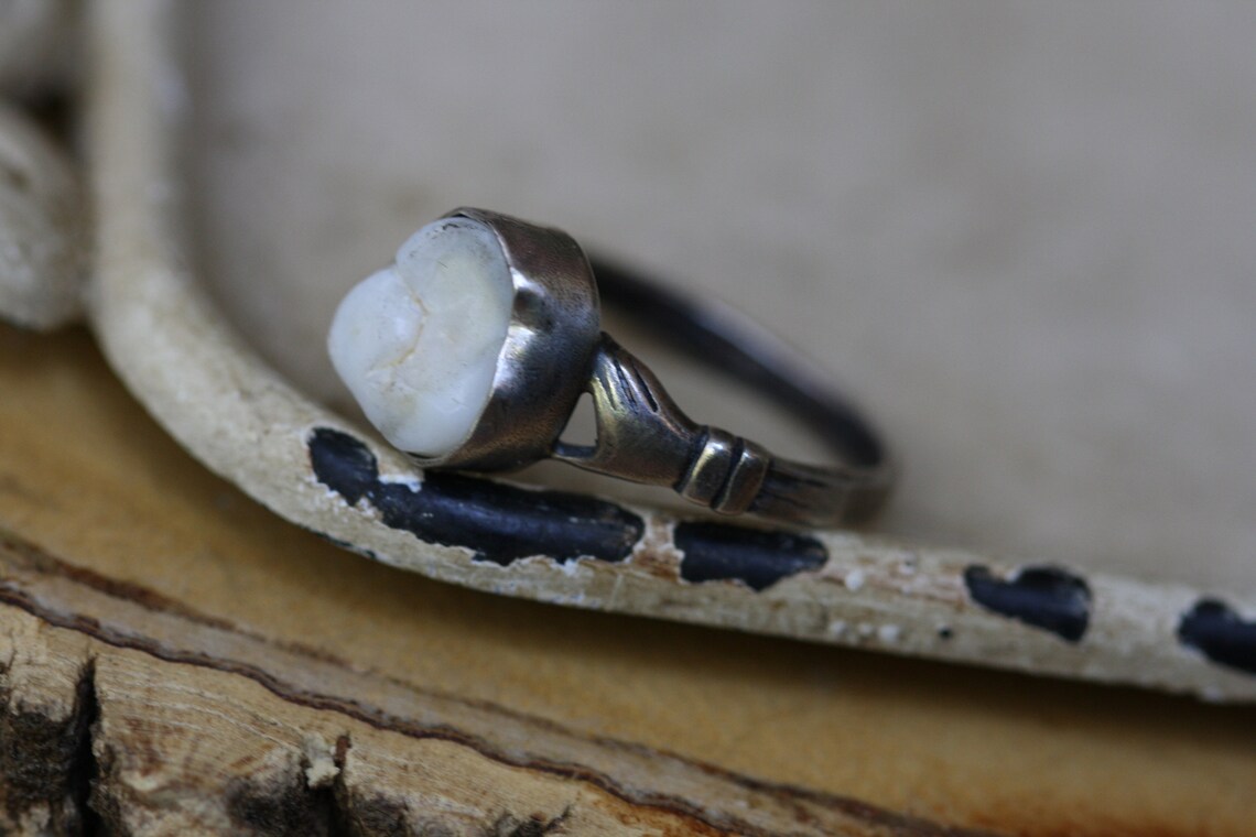 Lover’s Hand Single Tooth Ring (made in Your Size) - Etsy