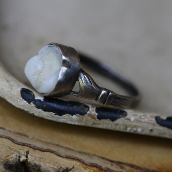 Tooth Ring - Etsy