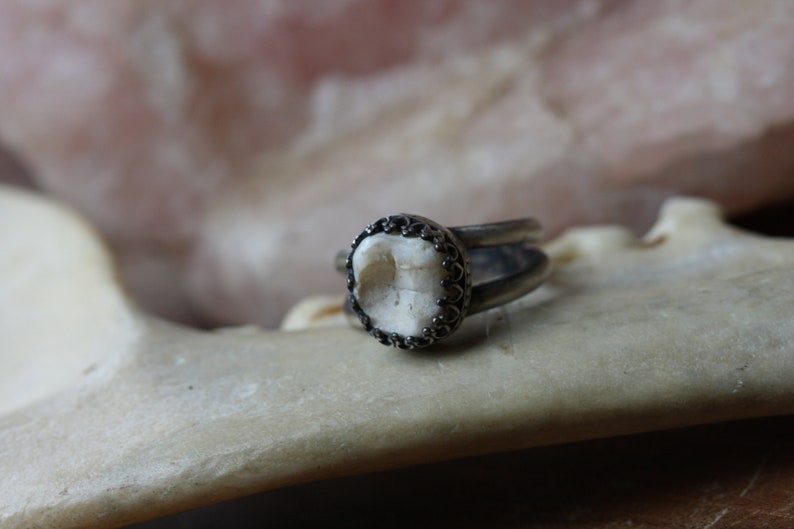 Single Tooth Ornate Ring made in Your Size - Etsy