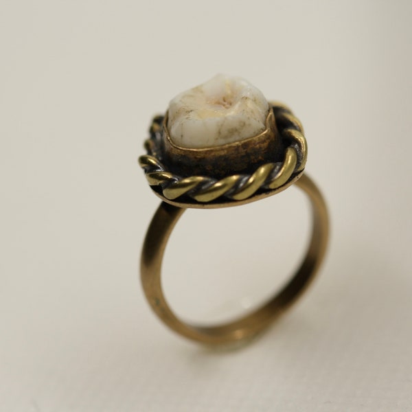 Tooth Ring - Etsy