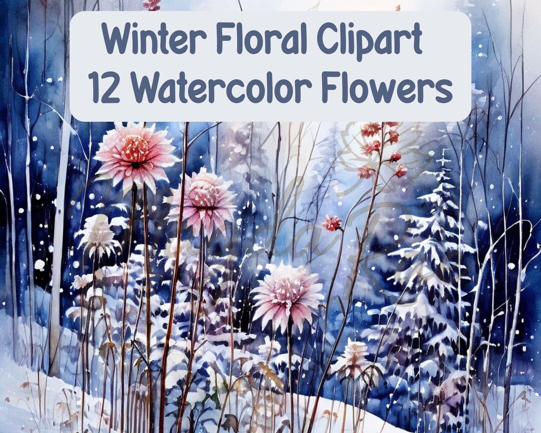 Winter Floral Clipart – Watercolor Flower Set, Pastel Botanicals (JPG ...