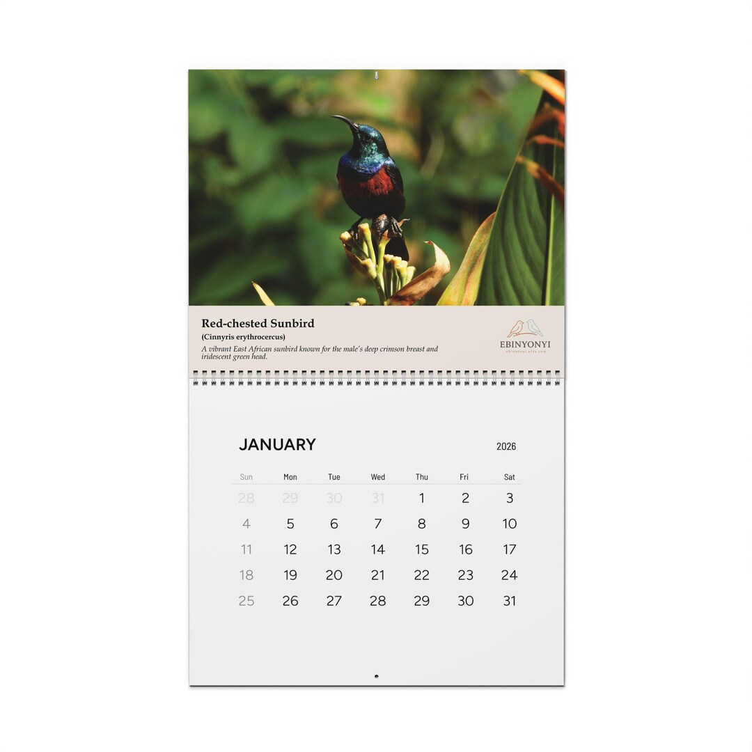 US Version- 2026 Tropical Birds Wall Calendar - Etsy