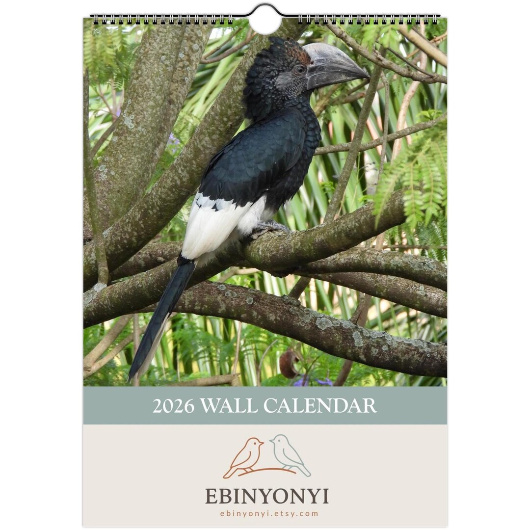 2026 Tropical Birds Calendar | A3 & A4 | Colourful Bird Art for Your ...